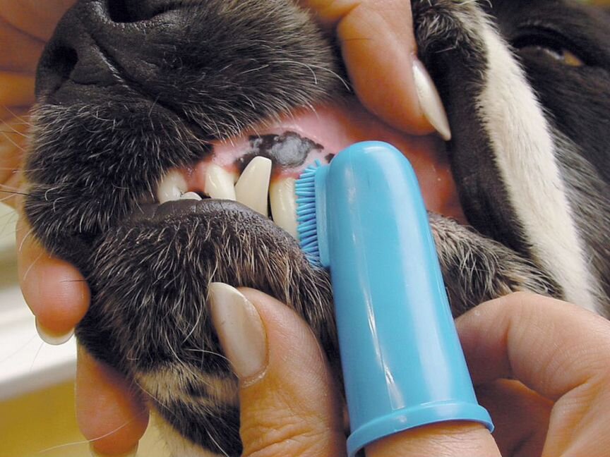 Зубная щетка Show Tech на палец, 2 шт