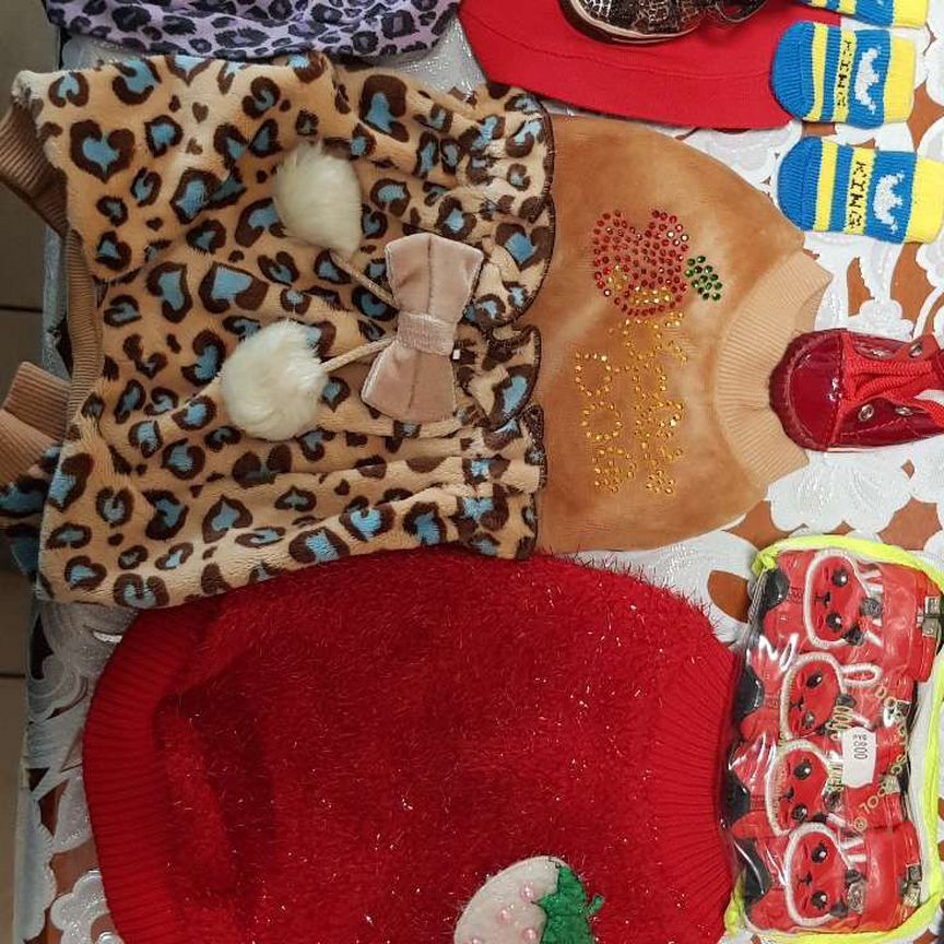 Одежда для маленьких пород собак