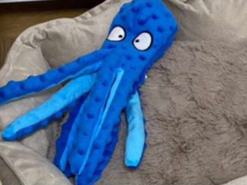 Игрушка для животных