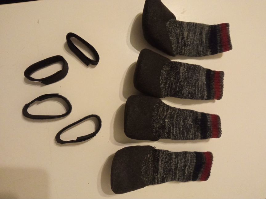 Ботинки для собак