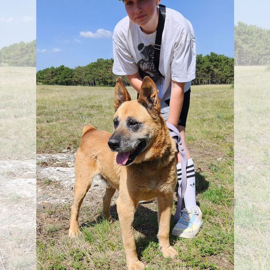 Красавчик Хантер