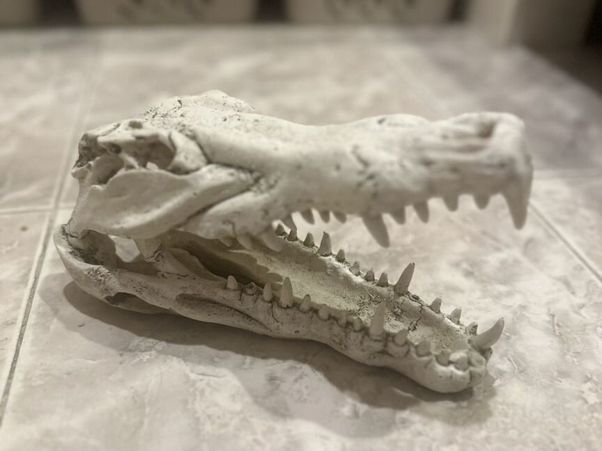 Аквариумный декор