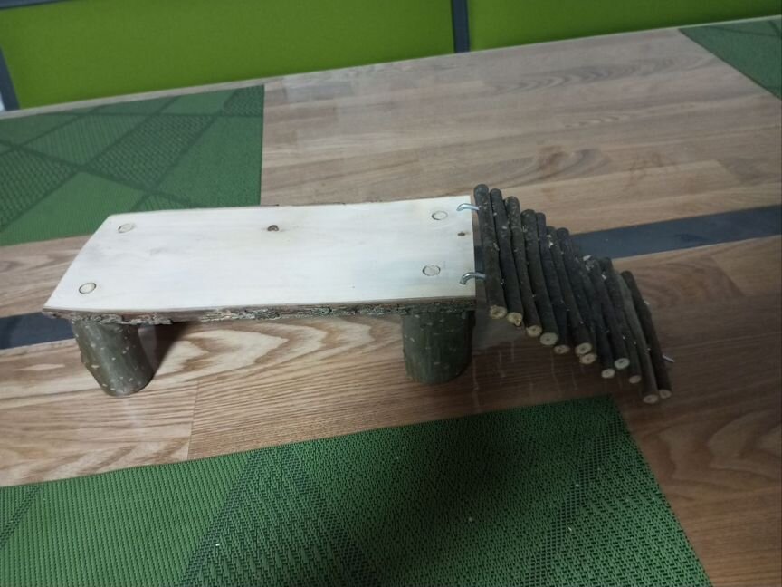 Товары для шиншиллы