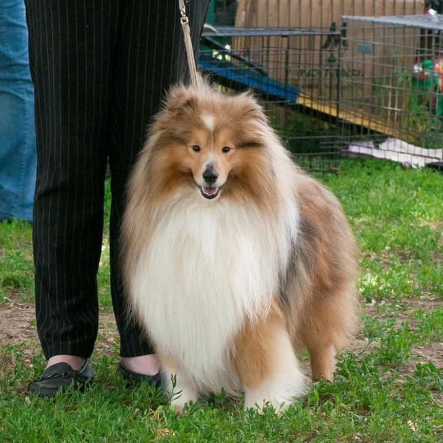 Невероятно красивые малыши