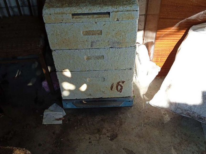 Улей для пчел