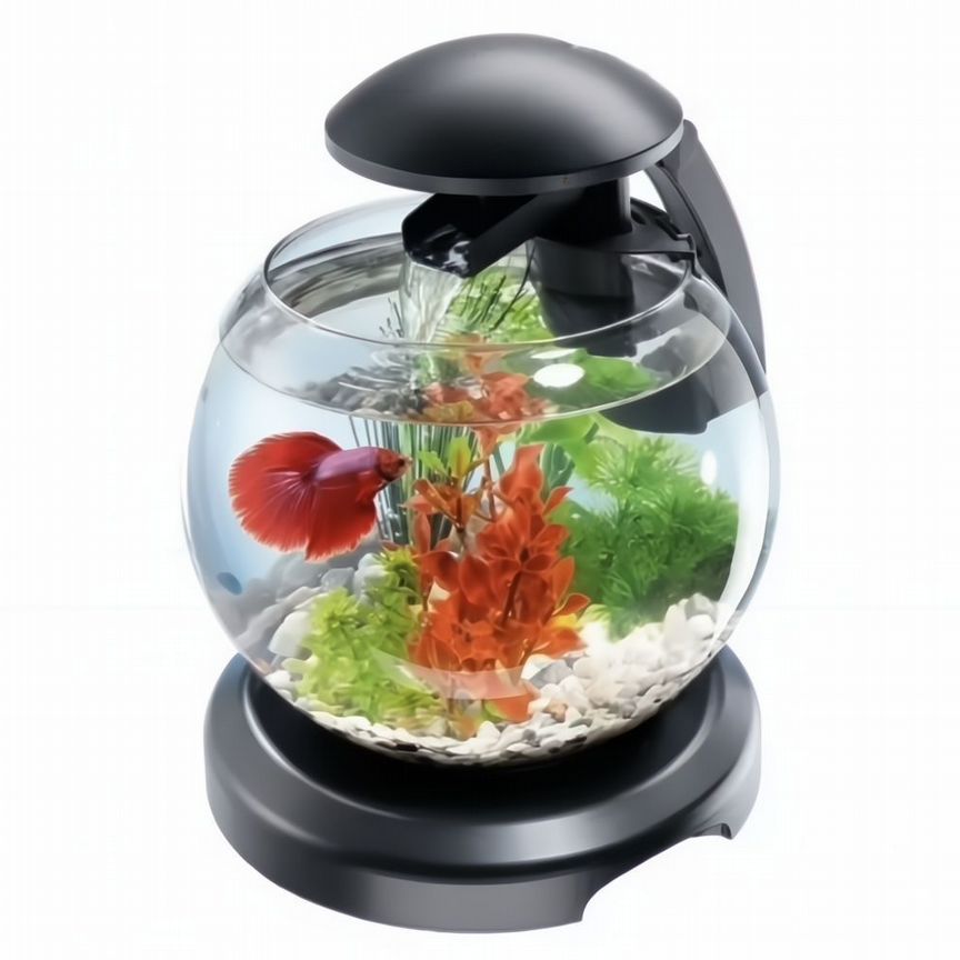 Аквариум круглый с подсветкой