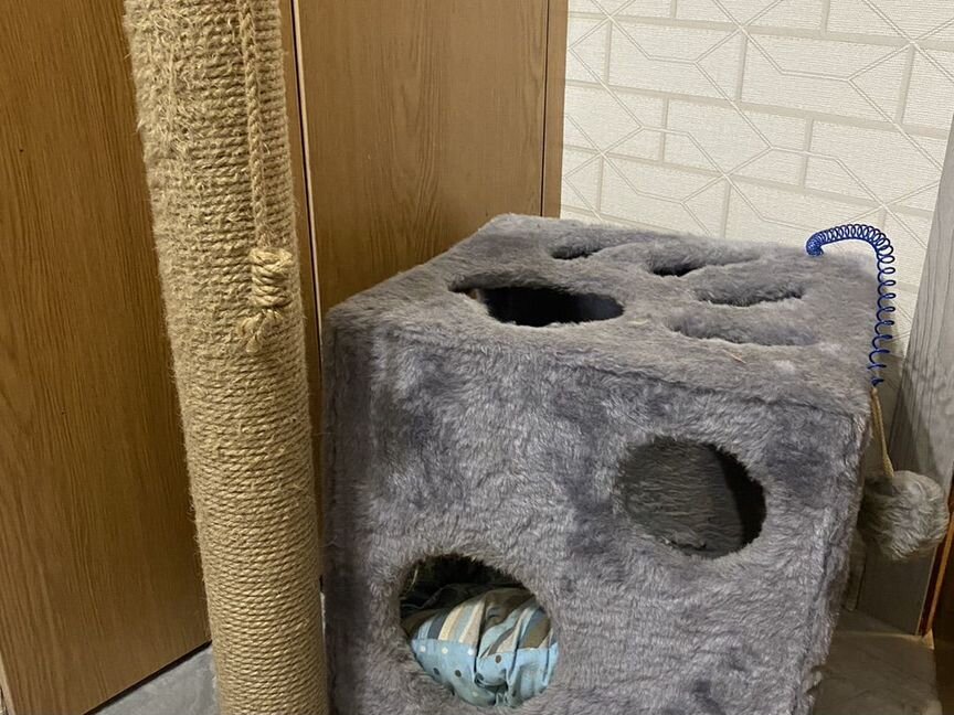 Домик когтеточка