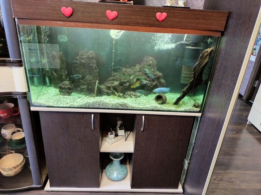 Аквариум с тумбой 150литров и оборудованием и рыбы