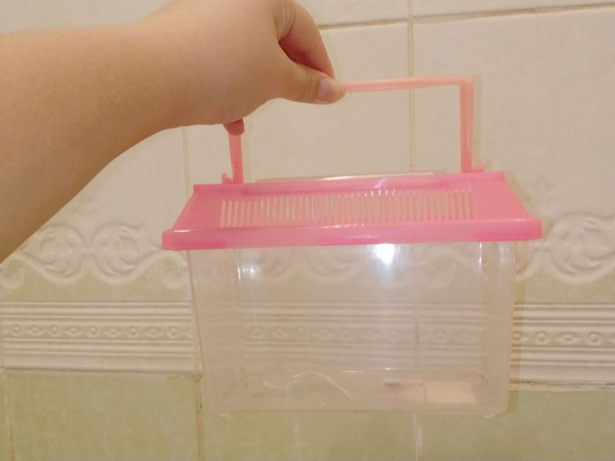 Клетка для грызунов