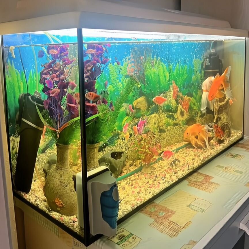 Аквариум с рыбками