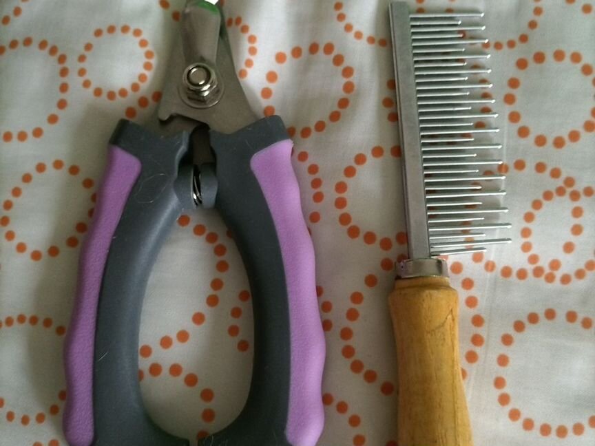 Принадлежности для собак