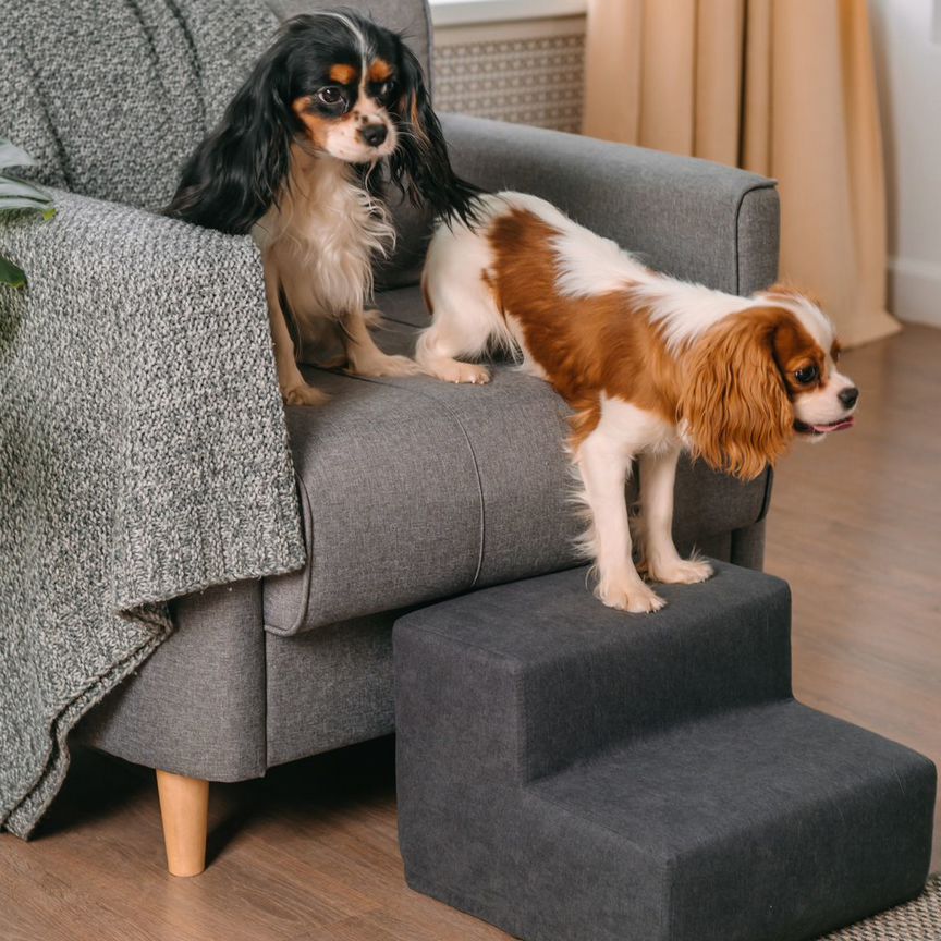 Лестница для собак и кошек