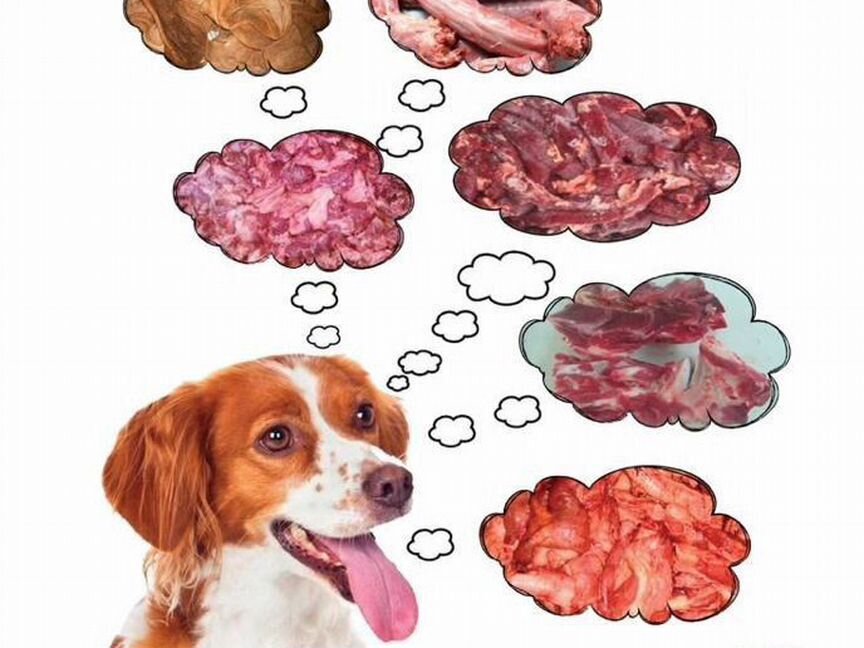 Мясо говядина для собак