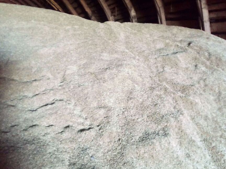 Зерносмесь овёс