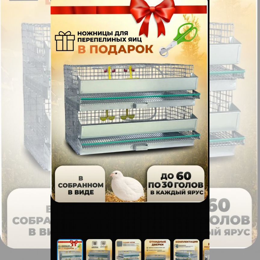 Клетки для перепелов