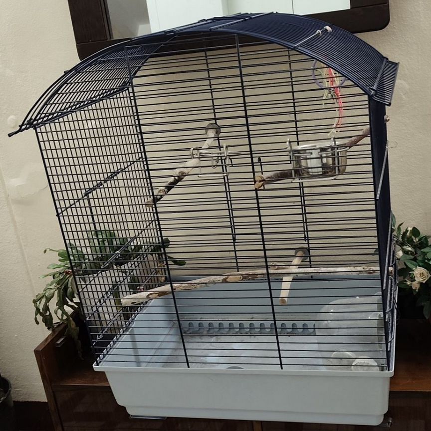 Клетка для птиц большая