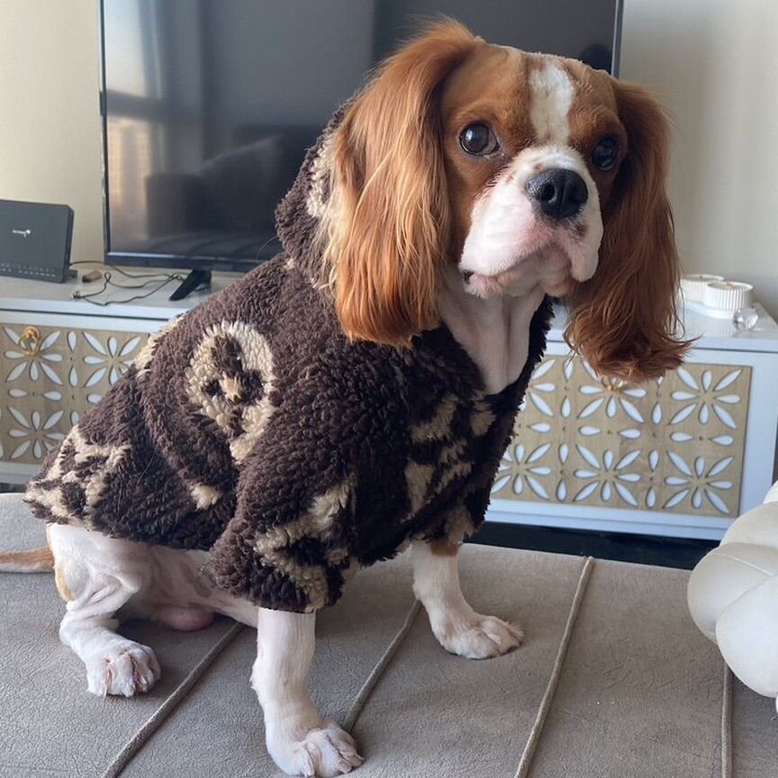 Шуба для собак