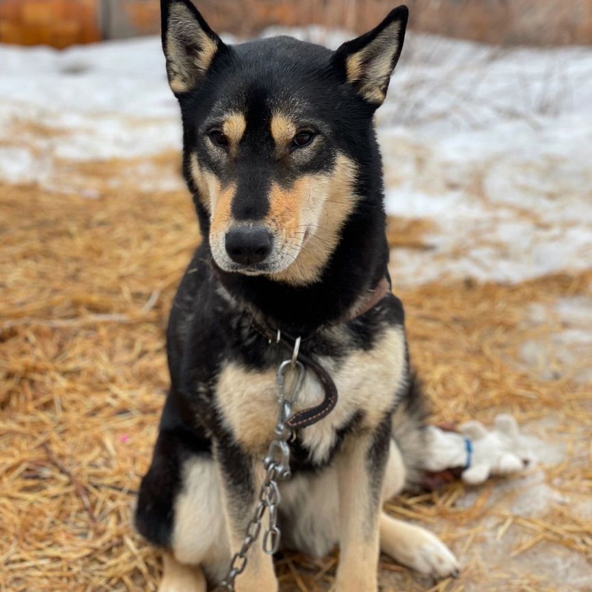 Влада ищет дом