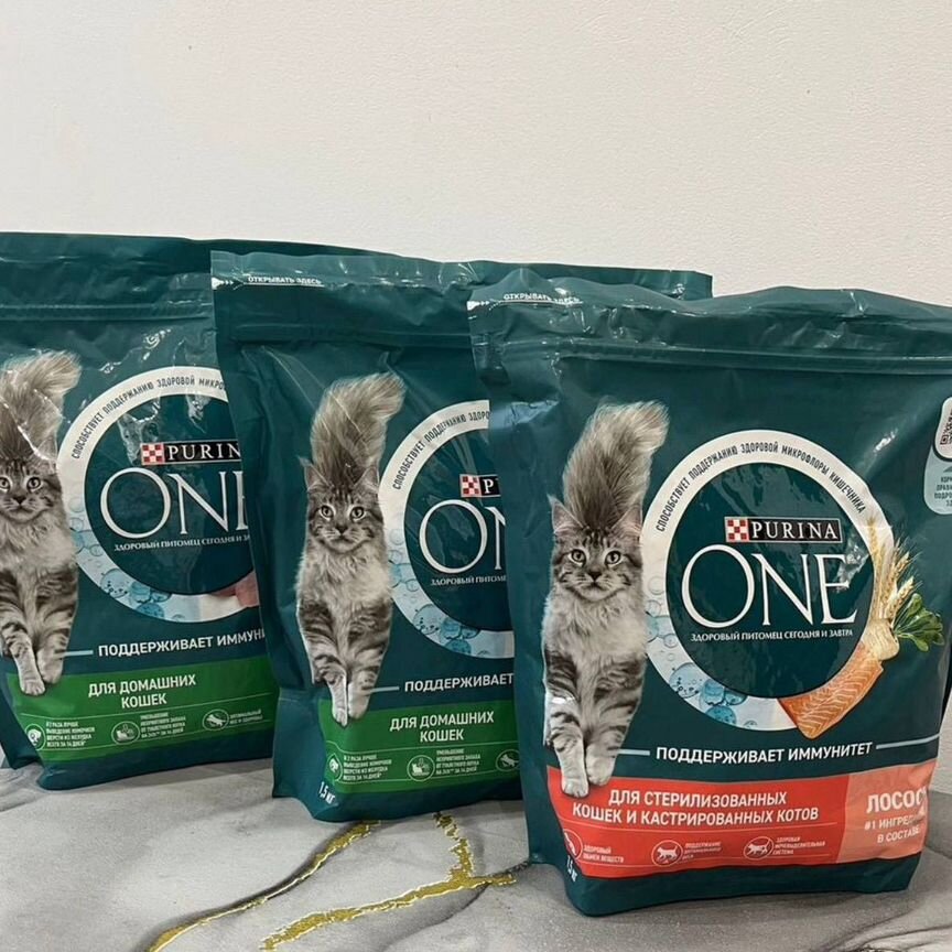 Корм для кошек