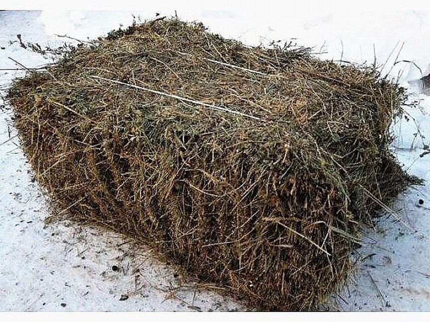 Сено и солома в мешках и брикетах