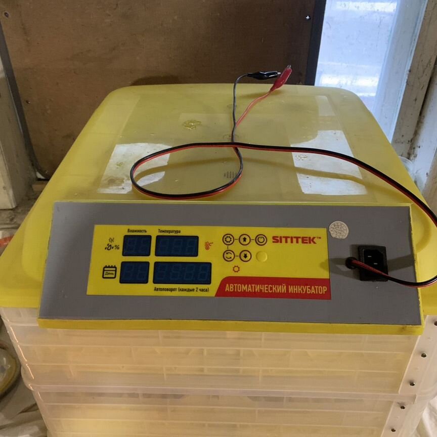 Инкубатор