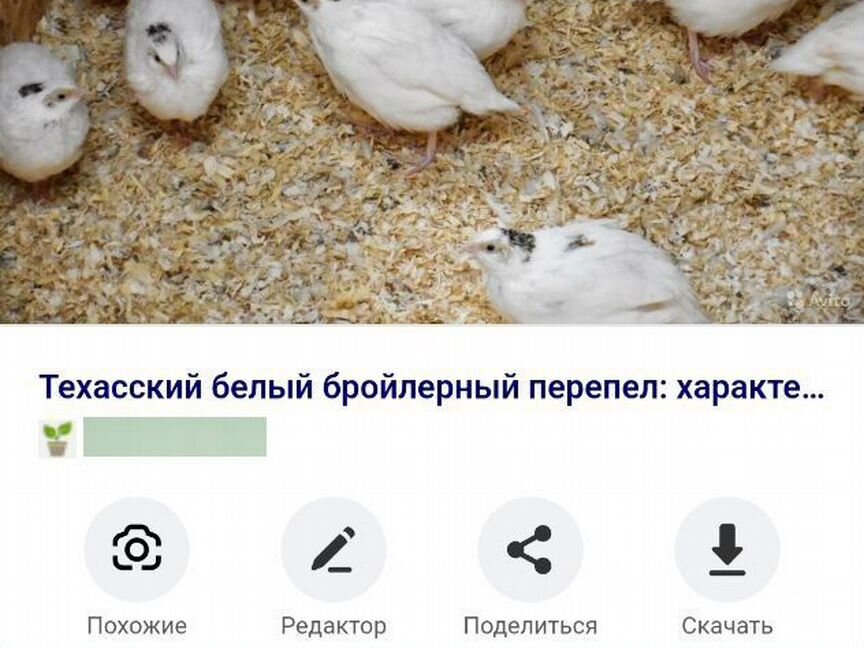 Перепила