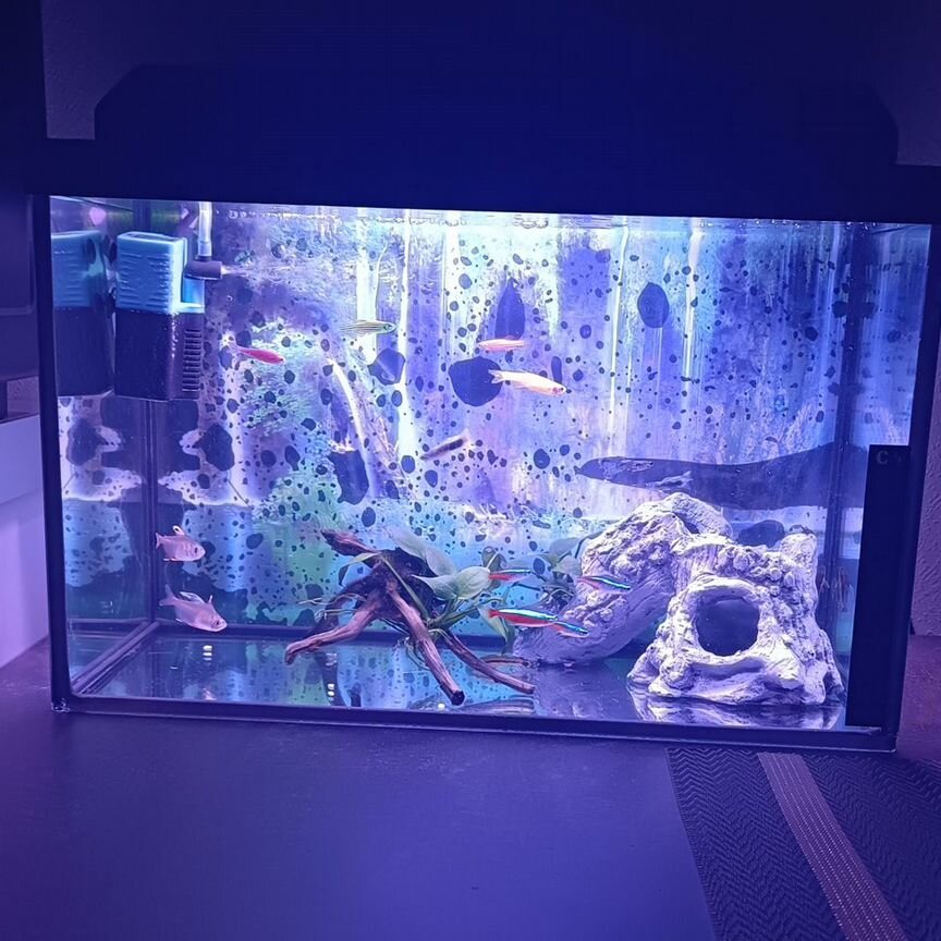 Аквариум с рыбками 20 литров