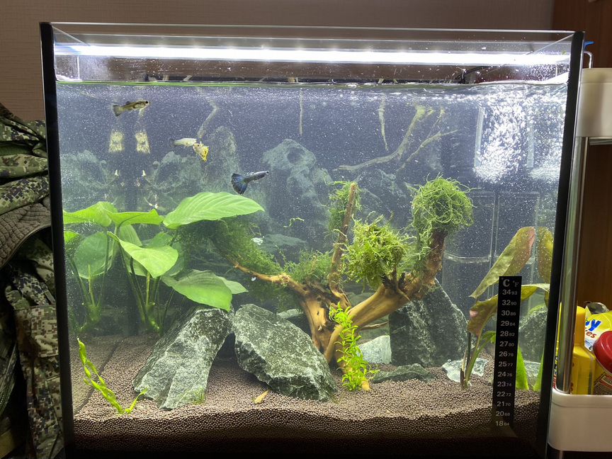 Аквариум 30 литров