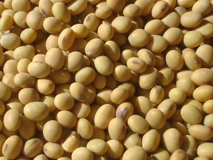 Соя протеин 40+