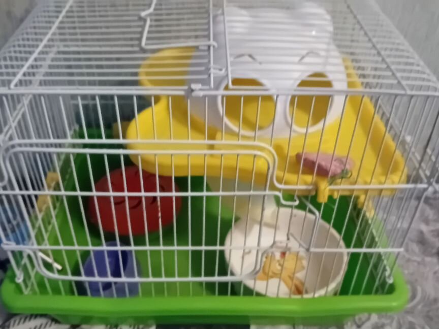 Клетка для джунгарского хомяка