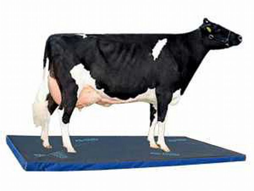 Дезинфицирующий мат для крс