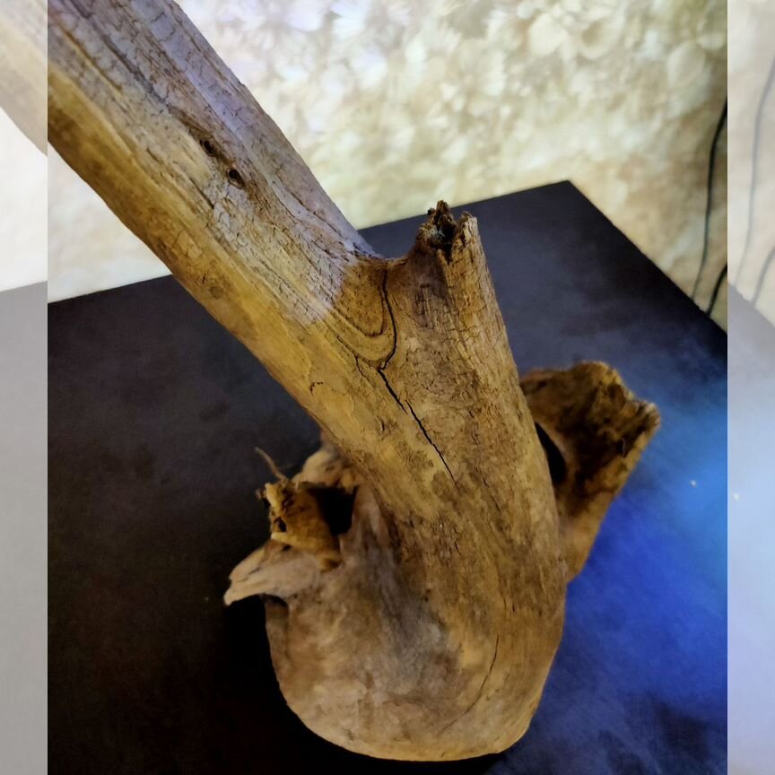 Коряга в аквариум