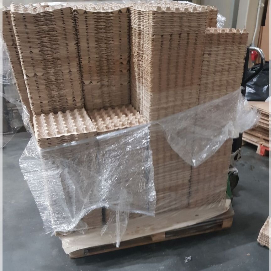 Яичные лотки