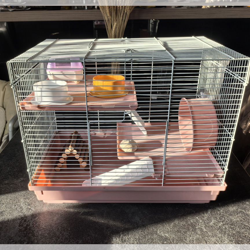 Клетка для грызунов большая