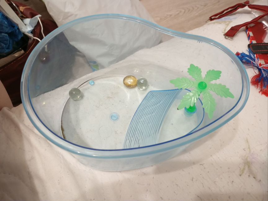 Бассейн для черепах