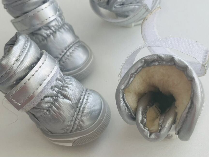 Сапожки на собак мелких пород