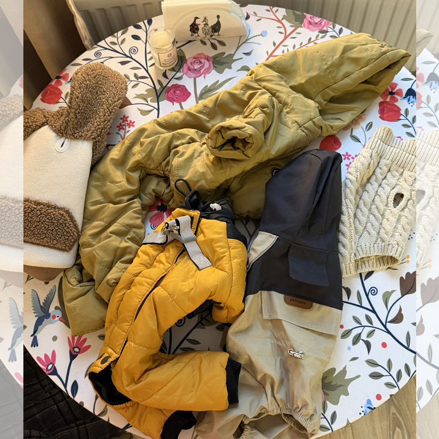 Одежда для маленьких собак