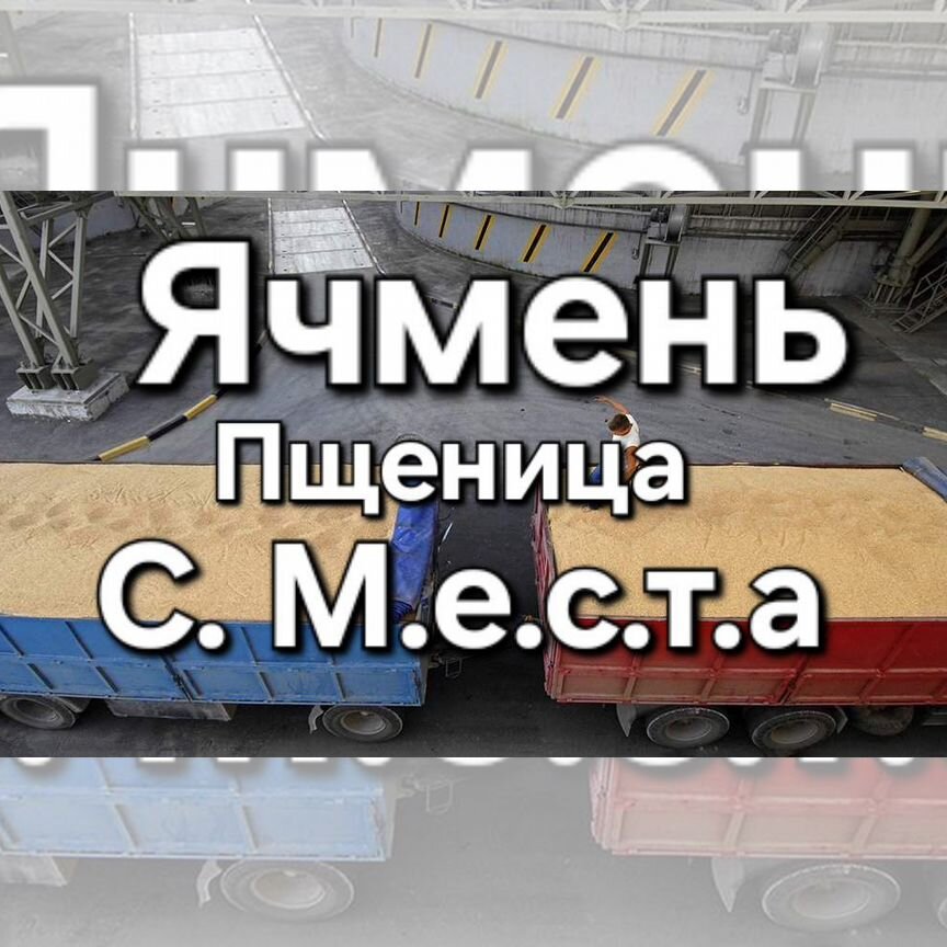 Ячмень пщеница зерно