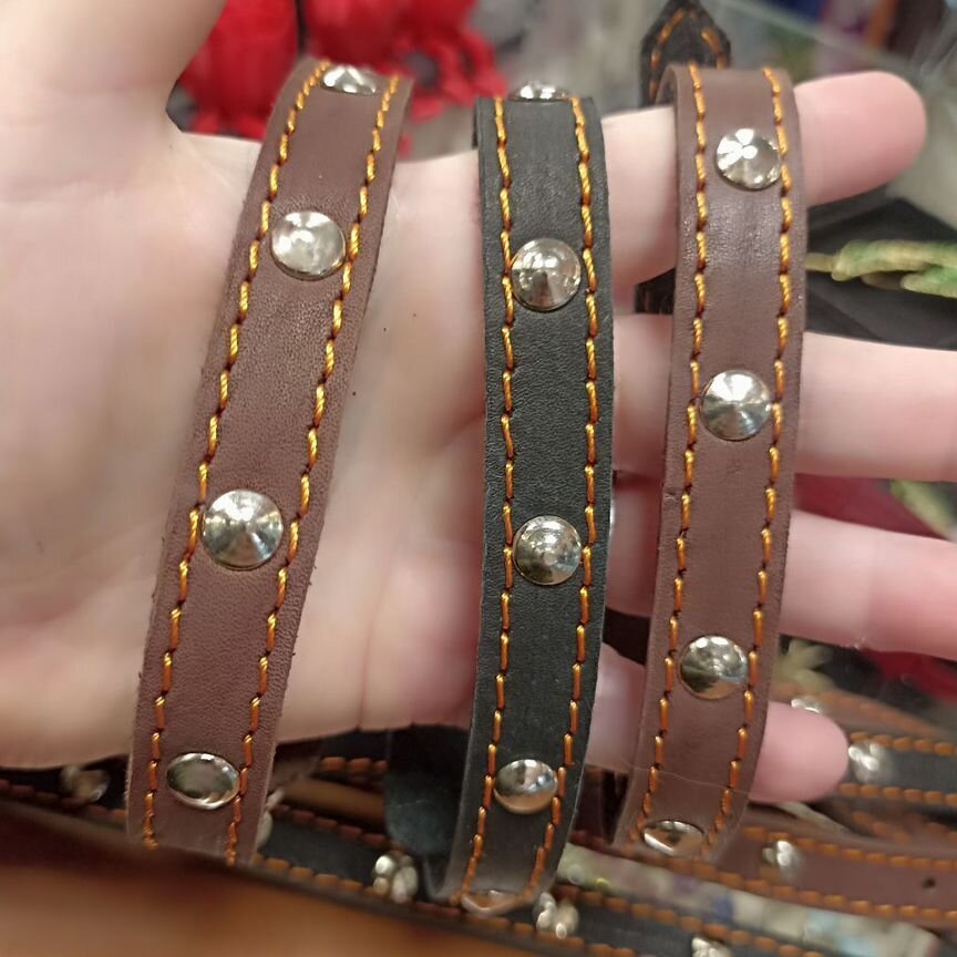 Набор из 10 ошейников для собак