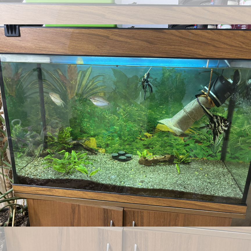 Аквариум 130 литров