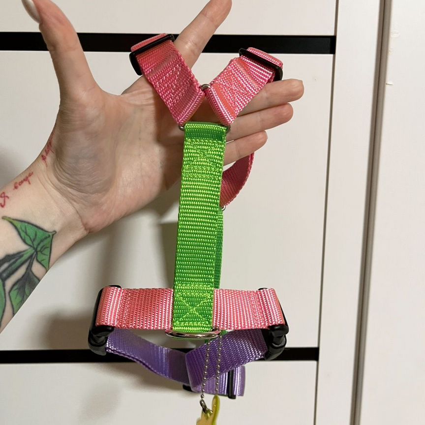 Шлейка Sharik dog SL