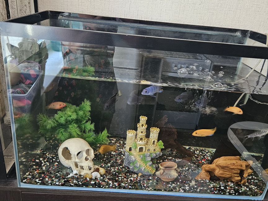 Аквариум с рыбками