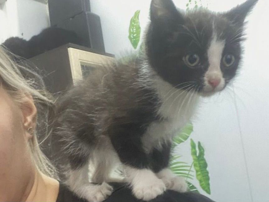 Кузьмич - горячее предложение руки и сердца