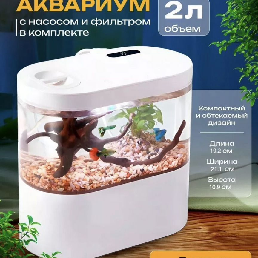 Акариум 2 л для рыб петушка детский для новичков