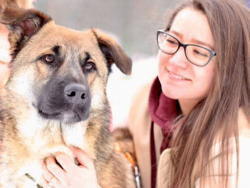 Овчарка