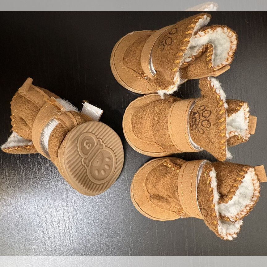 Ботинки для маленьких собак