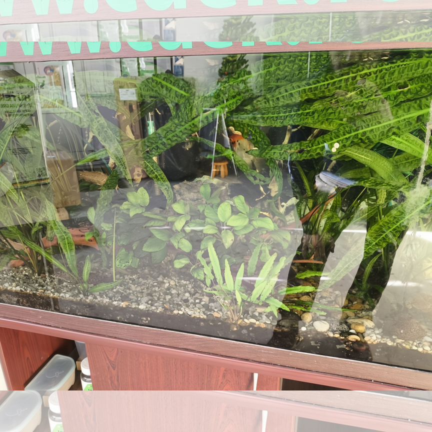 Аквариум на 200 литров