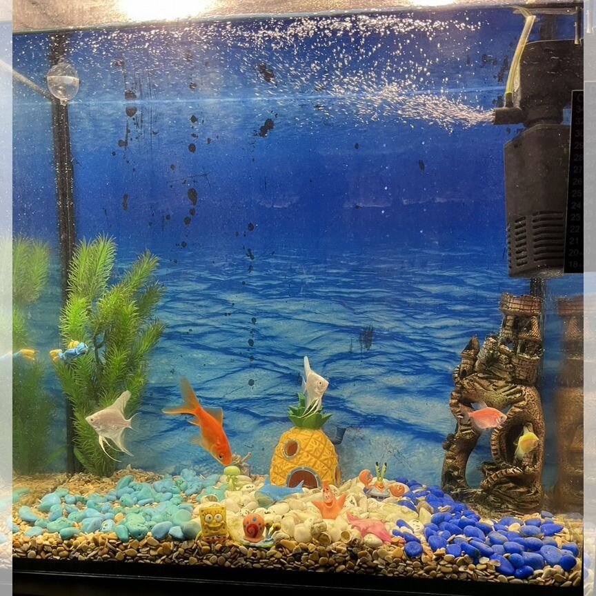 Аквариум с тумбой