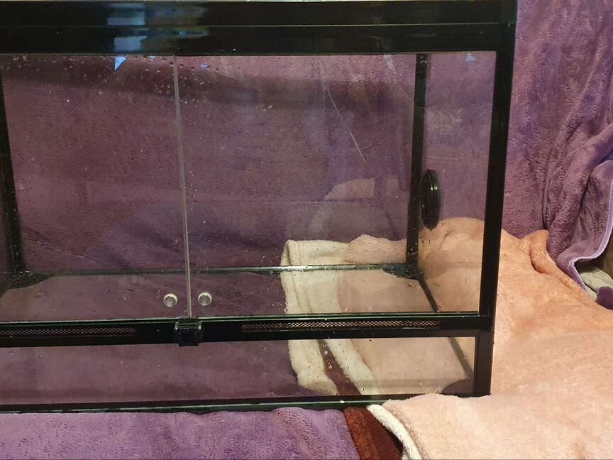 Террариум для рептилий