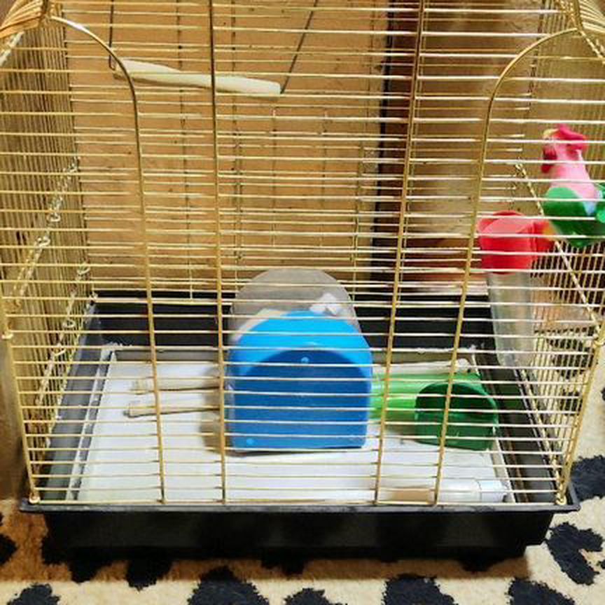 Клетка для птички